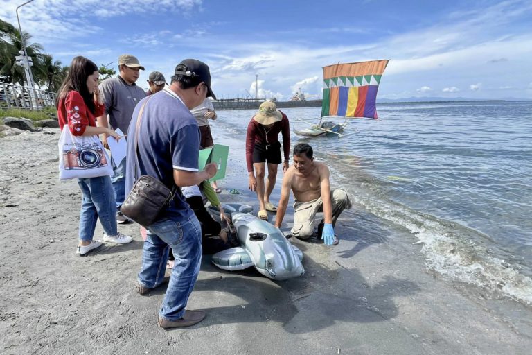 Tatlong araw na Pagsasanay sa Pagsagip ng mga Pawikan at Dugong sa ...