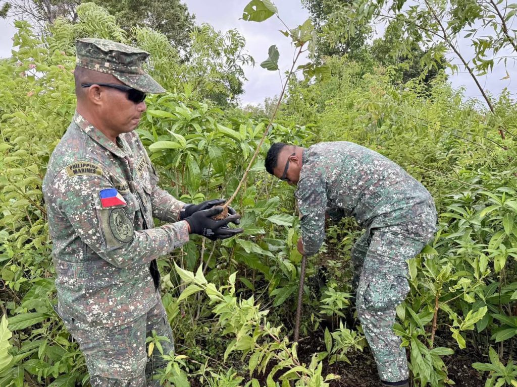 1,000 Punla, Itinanim sa Tree Growing at Adopt-A-Tree Activity ng MENRE ...